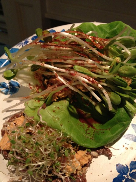 Raw Cleansing – Sprouts, the Fun Way to Grow Your Own Food! | simple up