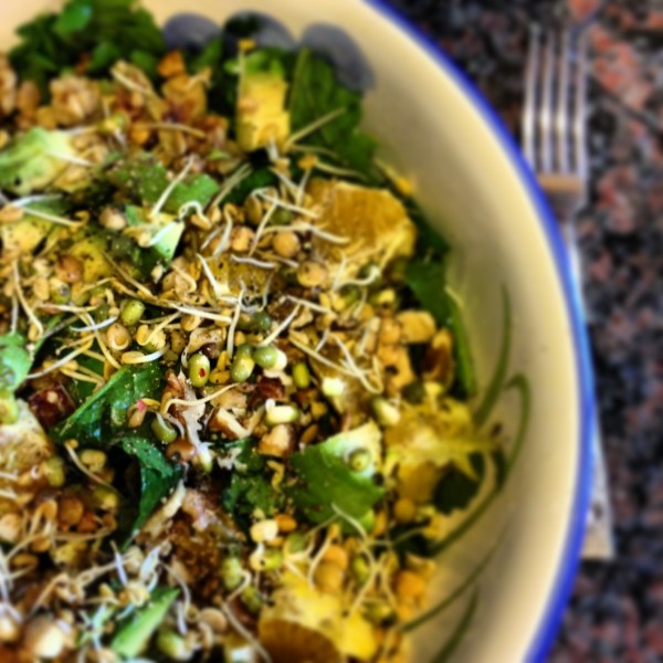 Raw Cleansing – Sprouts, the Fun Way to Grow Your Own Food! | simple up